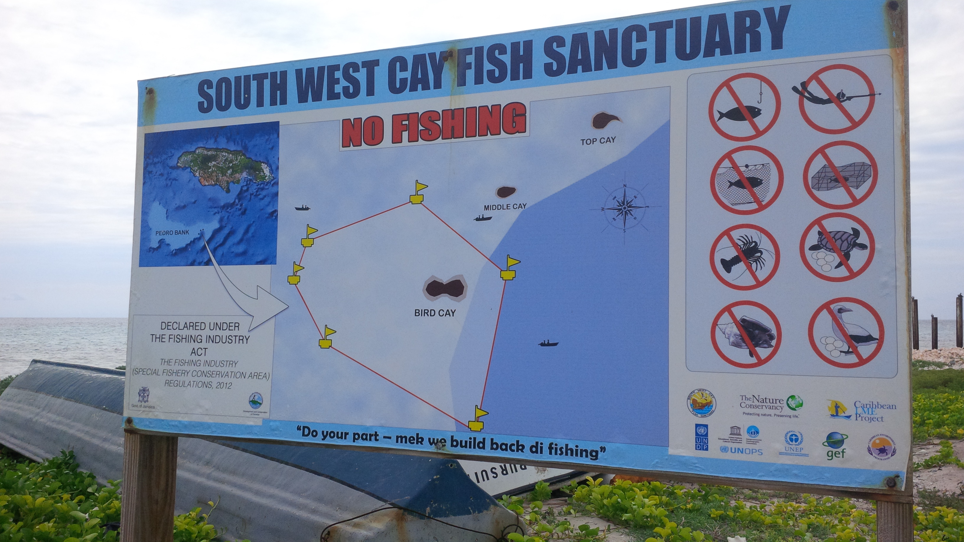 Data Collection on Pedro Cays – Balcostics